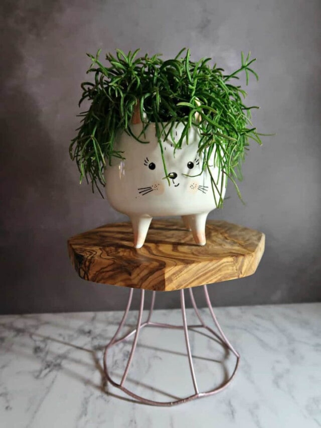 22 Easy Wooden DIY Plant Stands You Can Make Today - Anika's DIY Life