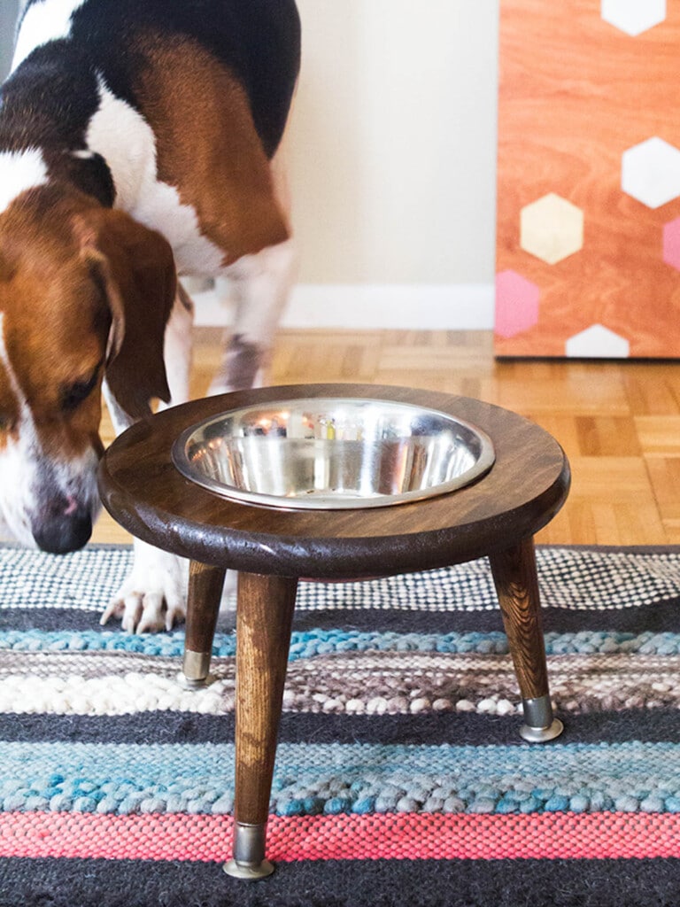 21 Easy DIY Dog Bowl Stand Ideas You Can Build Today! - Anika's DIY Life