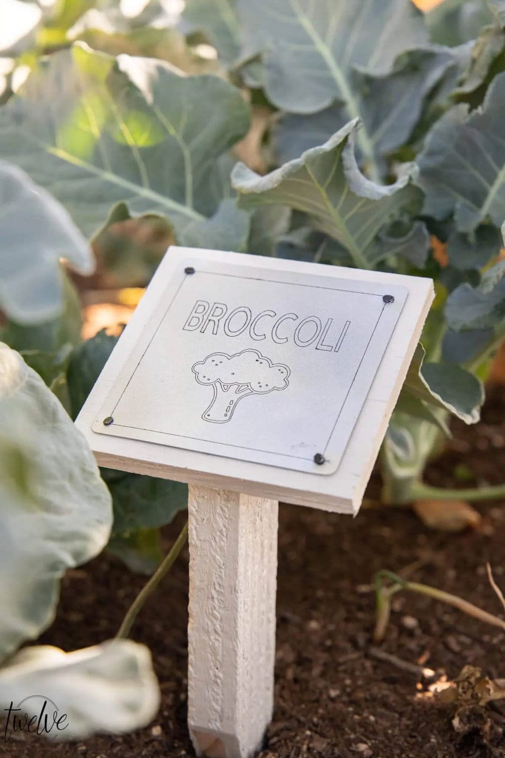 15 Creative Cricut Engraving Tip Projects - Anika's DIY Life