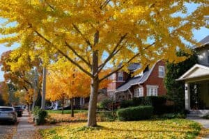 12 Must-Do Fall Home Maintenance Tasks You Can't Skip - Anika's DIY Life