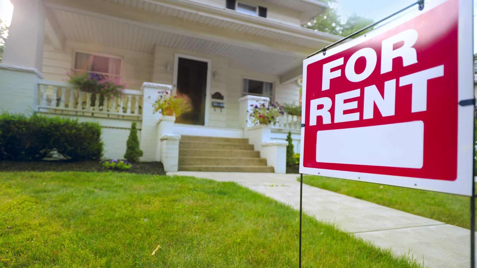 7 Brilliant Renter Friendly Home Improvement Ideas - Anika's DIY Life