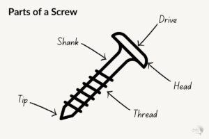 Wood Screws: A Simple Guide For Beginners - Anika's DIY Life