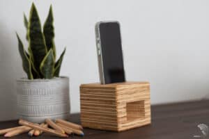 How To Make A DIY Phone Amplifier - Anika's DIY Life