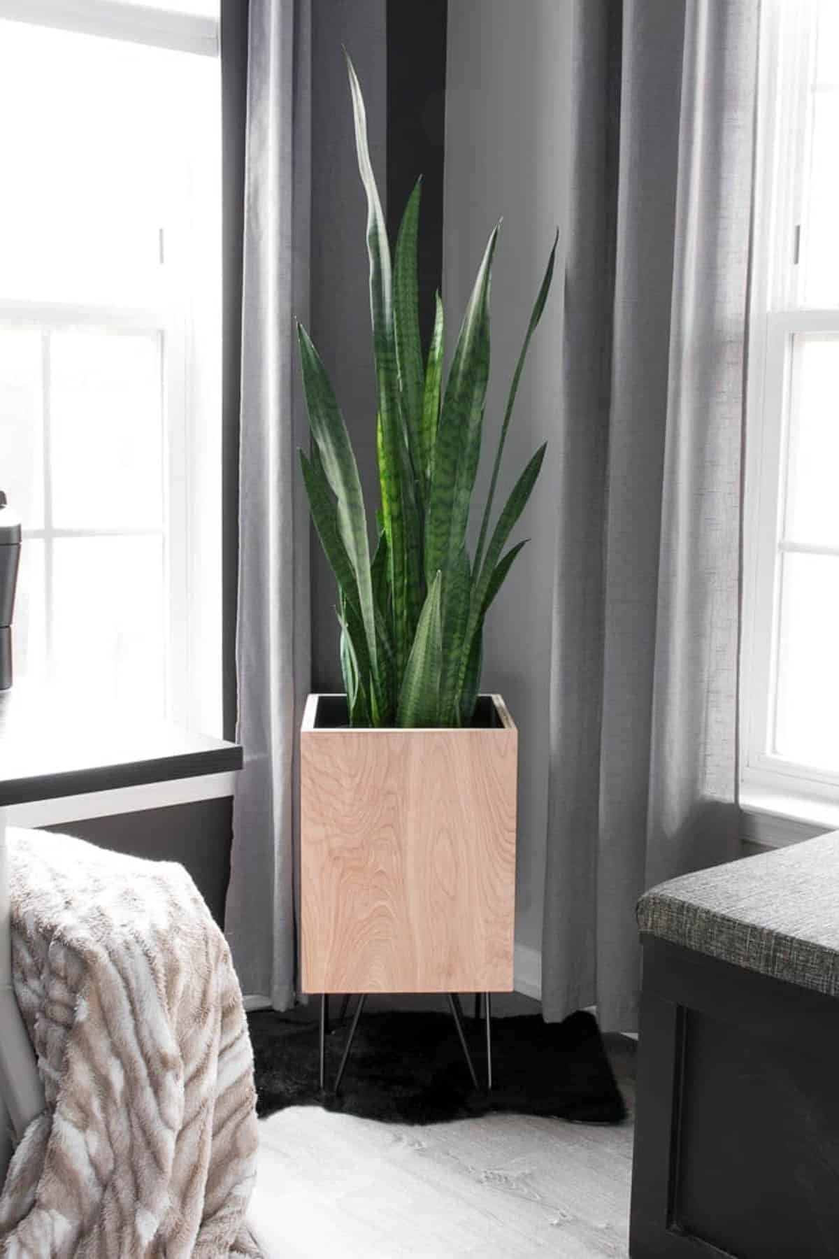 15 Easy DIY Modern Planter Box Ideas You Can Build This Weekend - Anika ...